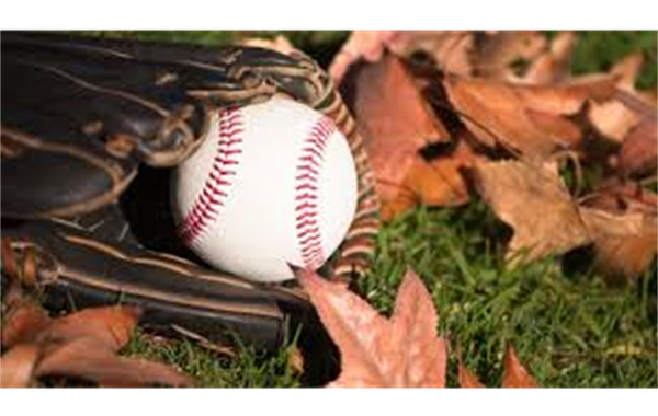 Home [www.thorntonbaseball.org]